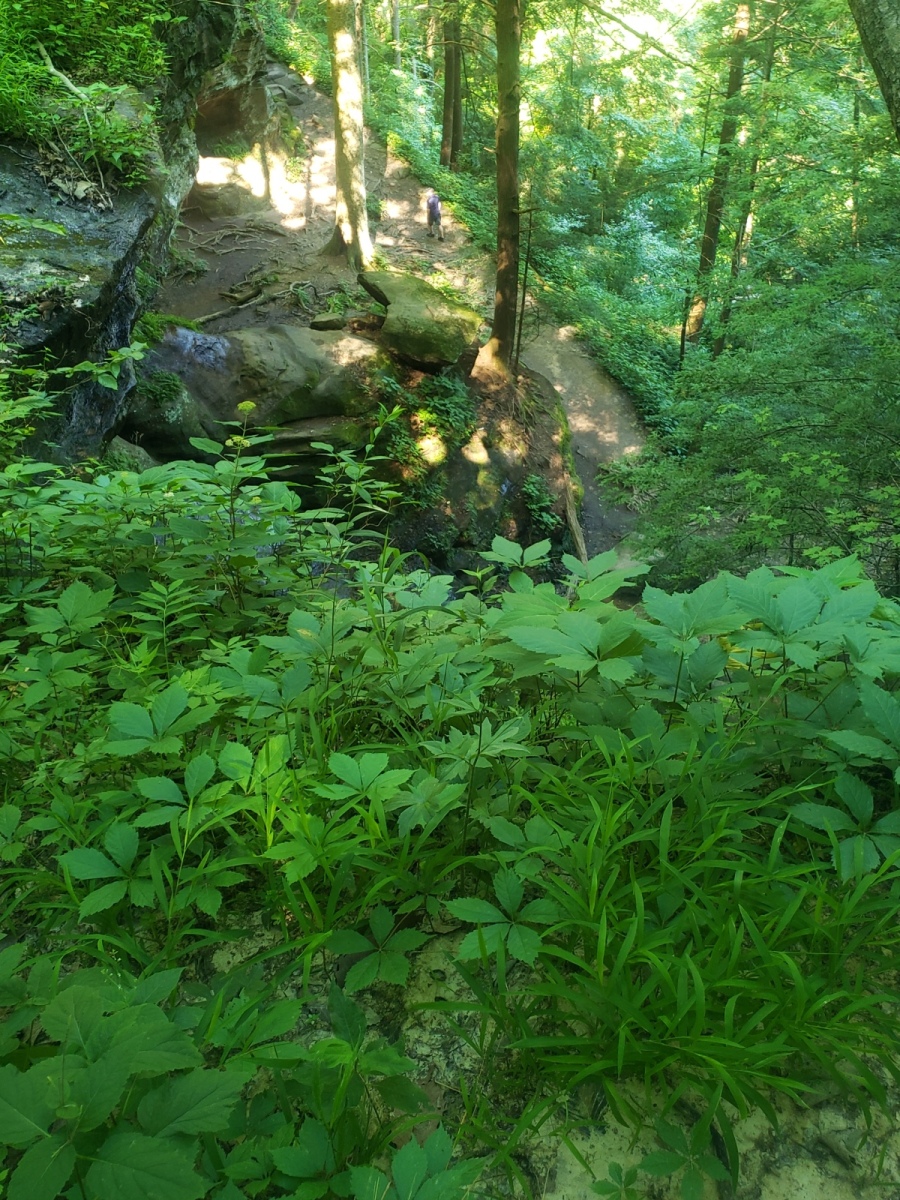 HOCKING HILLS ROCK HOUSE IN OHIO’S STATE PARK